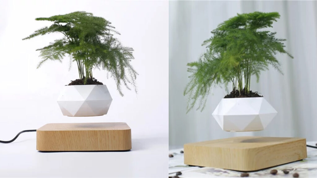 Levitating Tree - Gadgeteer.com.bd